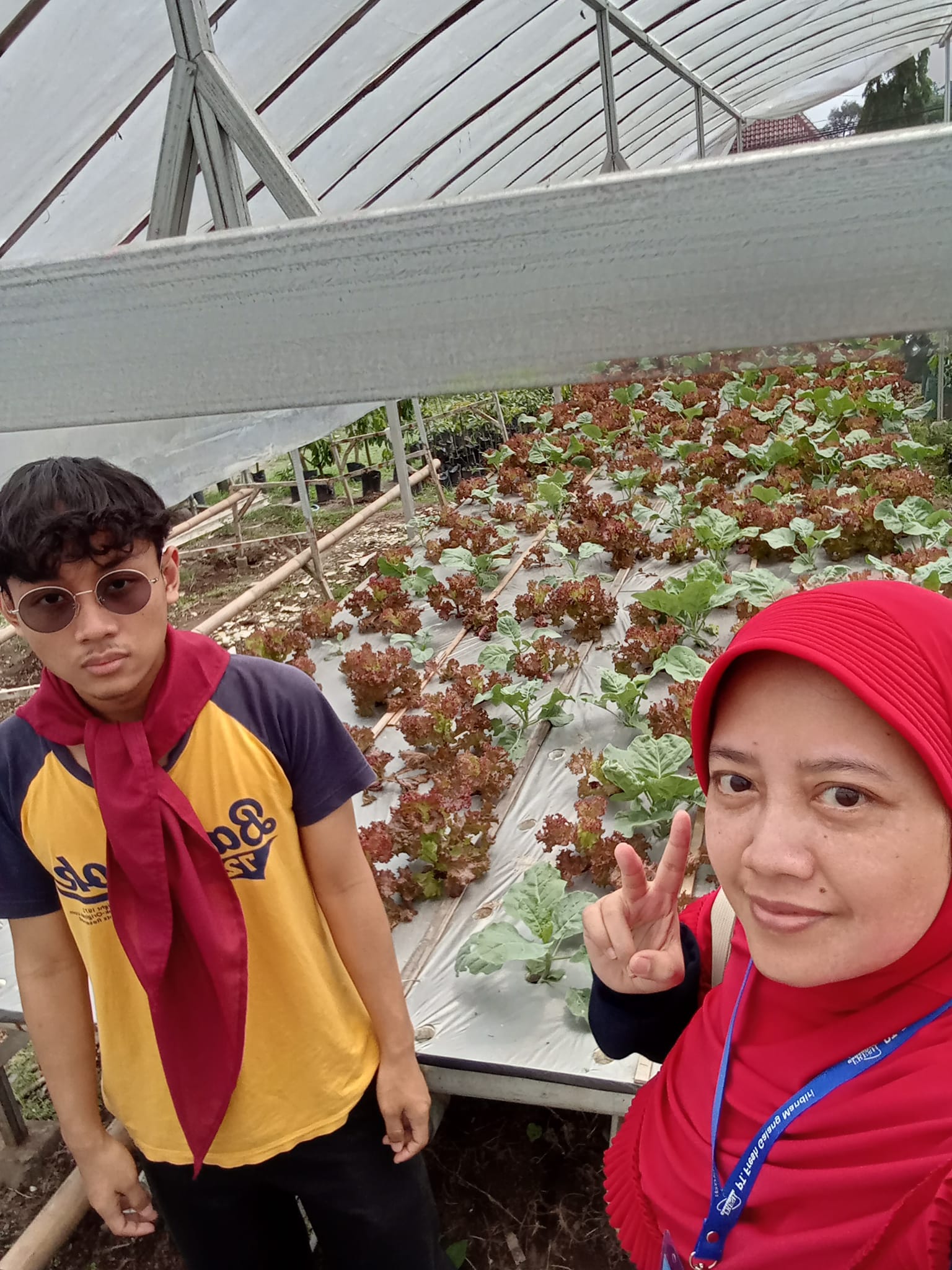 HidroPiknik alias Belajar tentang Budidaya Hidroponik di Amboja Farm Jogja